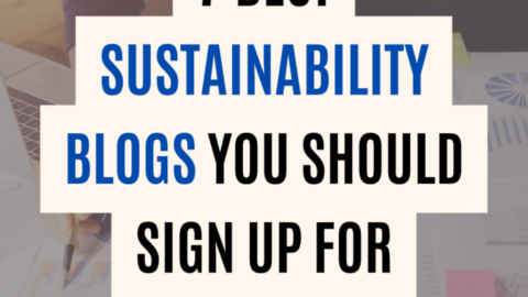 7 best sustainability blogs you should sign up for 2025 - Imvelo Ltd